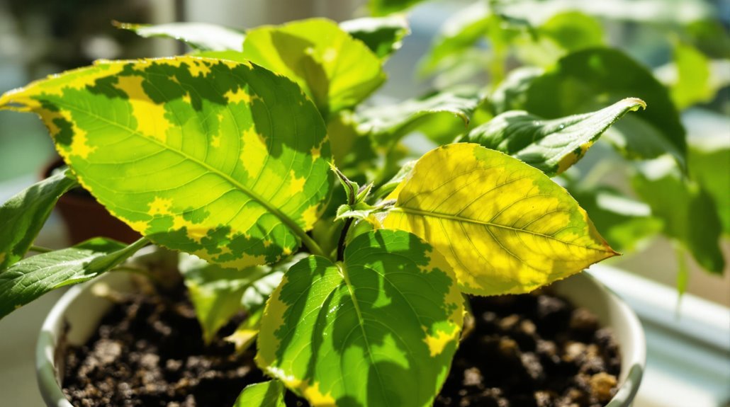 Why Are My Plant Leaves Turning Yellow? 12 Common Causes – The Garden Den